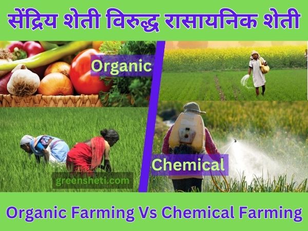 सेंद्रिय शेती विरुद्ध रासायनिक शेती / Organic Farming Vs Chemical ...