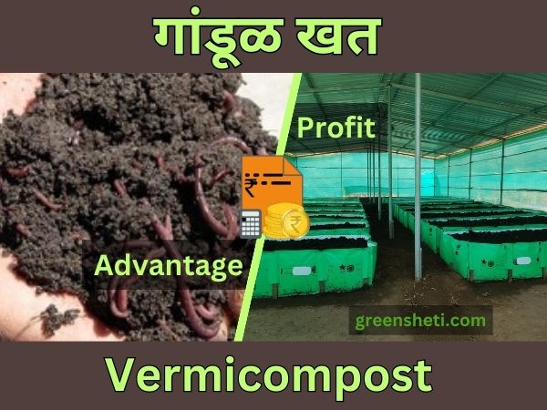 गांडूळ खत कसे तयार करावे ? Gandul Khat Nirmiti In Marathi ( Vermicompost )