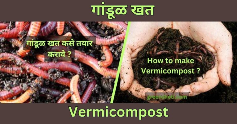 गांडूळ खत कसे तयार करावे ? Gandul Khat Nirmiti In Marathi ( Vermicompost )