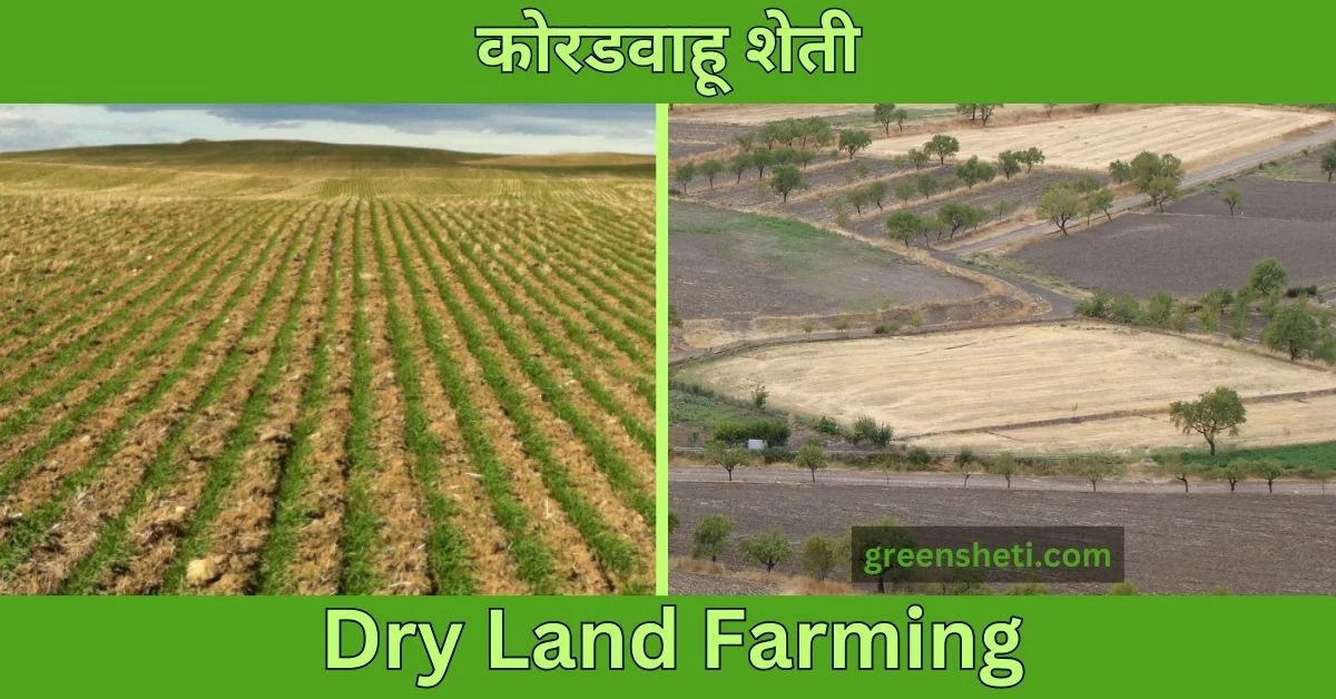 Green Sheti - Your Ultimate Guide to Successful Farming!