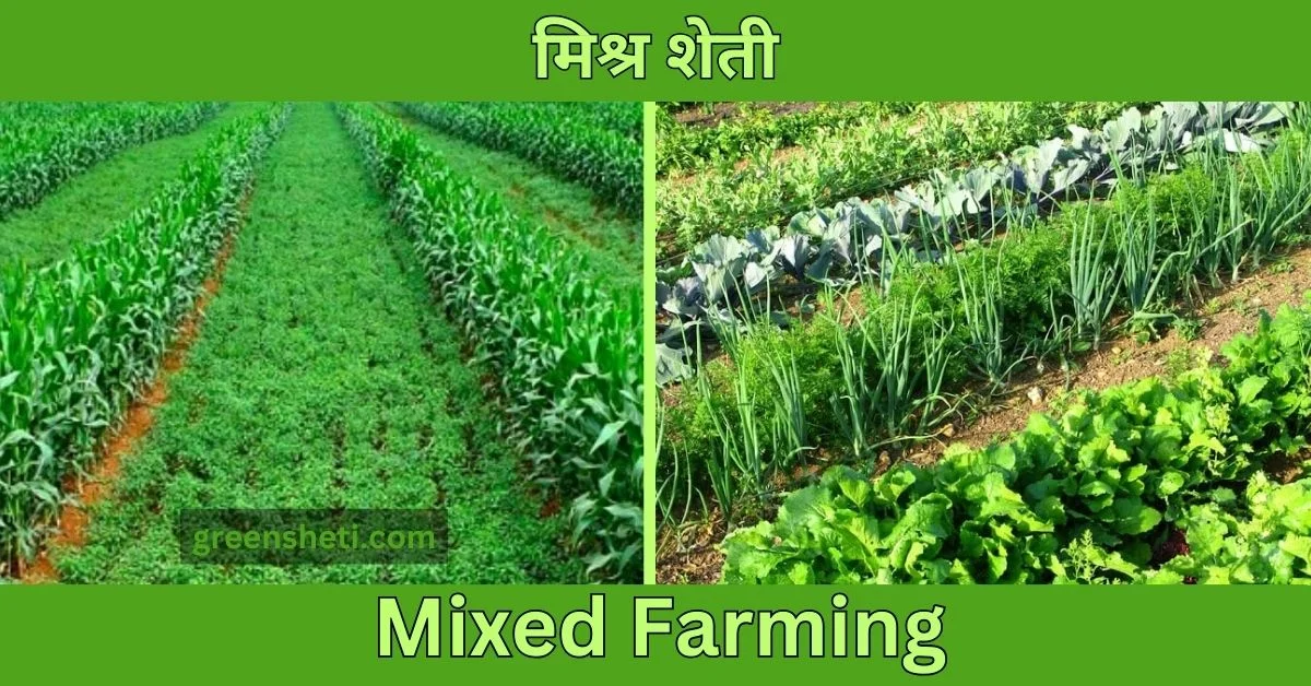 Green Sheti - Your Ultimate Guide to Successful Farming!