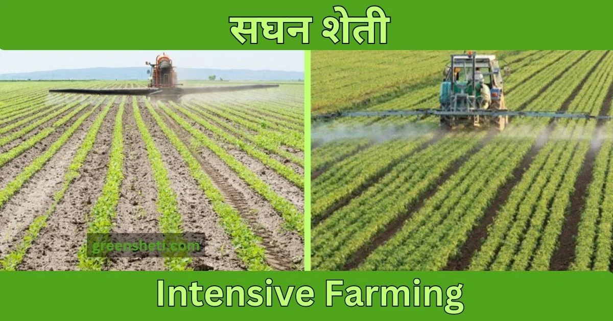 Green Sheti - Your Ultimate Guide to Successful Farming!
