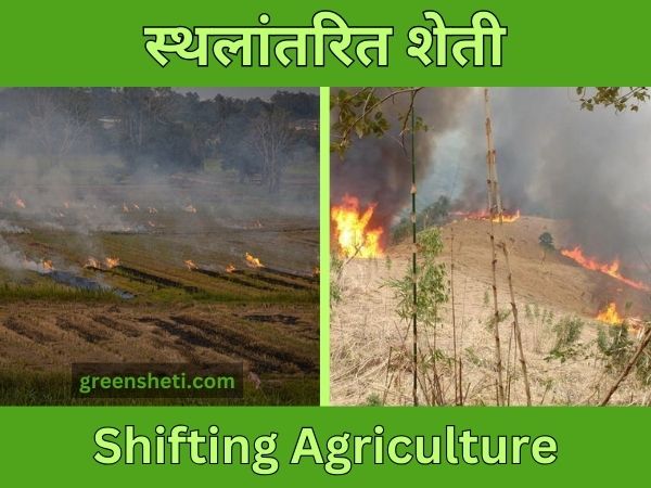 निर्वाह शेती Subsistence Farming - No1 Types of Best Farming